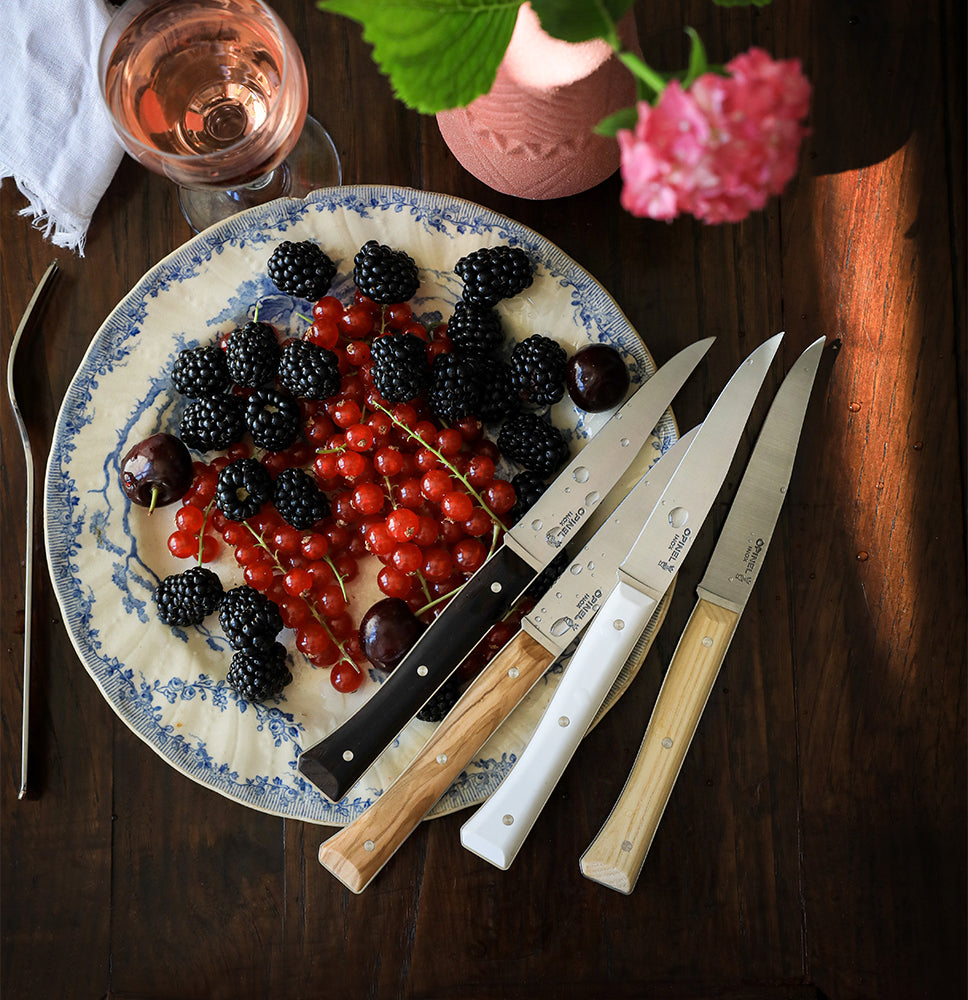 Opinel Facette Table Knives 4PC Set - Mixed | Mixed 4PC Table Knife Set ...